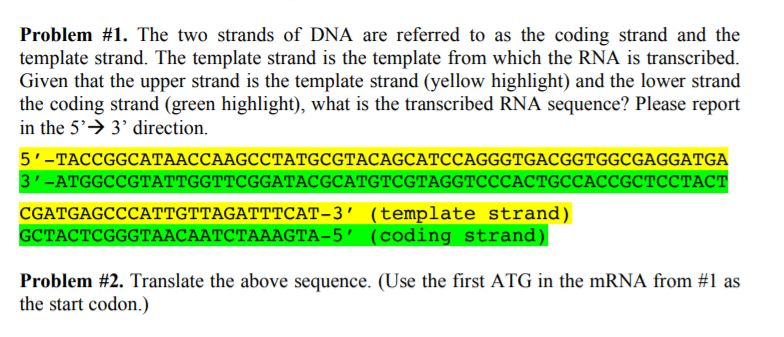 Solved Problem #1. The two strands of DNA are referred to as | Chegg.com