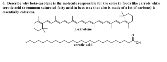 Solved 6. Describe why beta-carotene is the molecule | Chegg.com