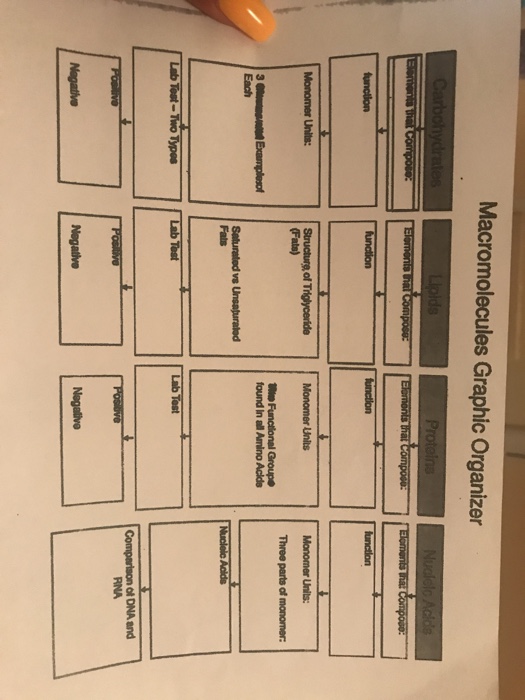 Solved Macromolecules Graphic Organizer Units: Units found | Chegg.com