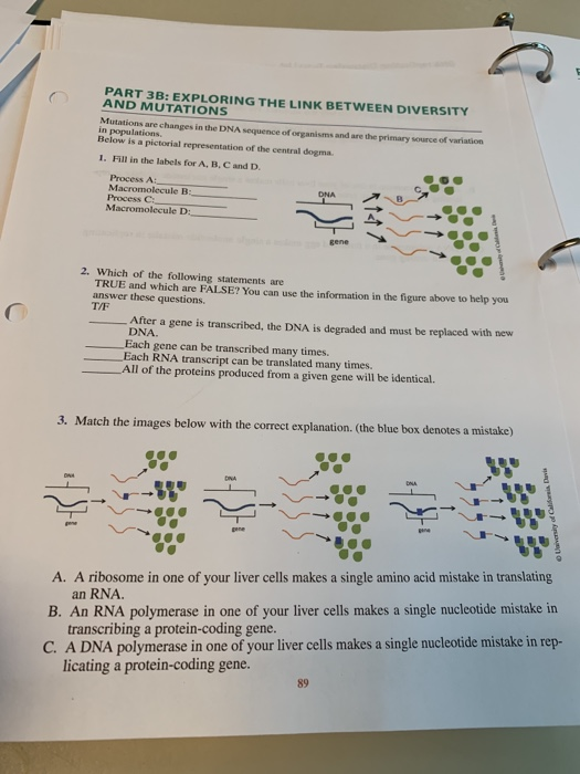 Solved PART 3B: EXPLORING THE LINK BETWEEN DIVERSITY AND | Chegg.com
