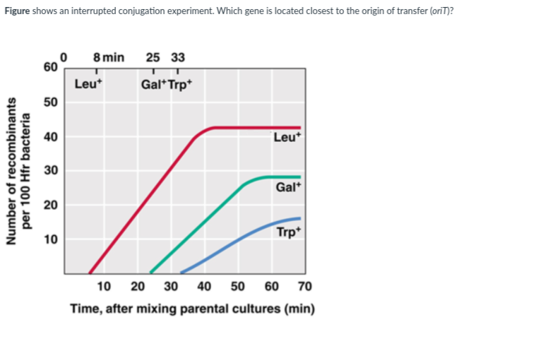 Solved Figure shows an interrupted conjugation experiment. | Chegg.com