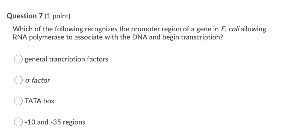 Solved Question 8 (1 point) The primary RNA transcript of | Chegg.com