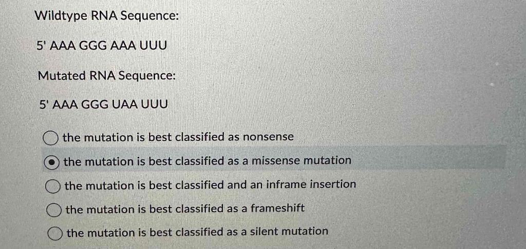 Solved Wildtype RNA Sequence: 5' AAA GGG AAA UUU Mutated RNA | Chegg.com