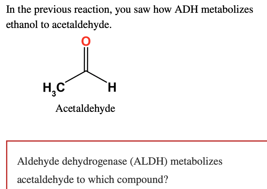 Solved In the previous reaction, you saw how ADH metabolizes | Chegg.com