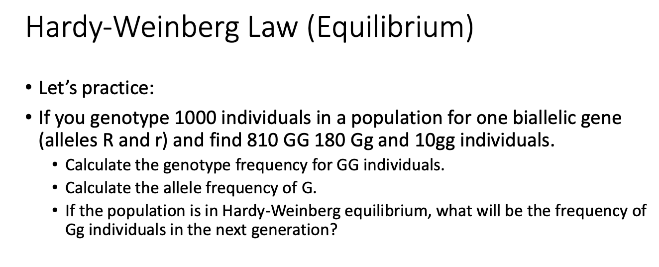 Solved Hardy-Weinberg Law (Equilibrium) • Let's practice: • | Chegg.com