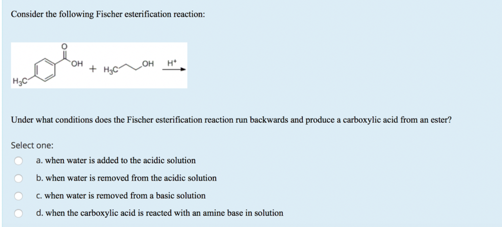 Solved Consider the following Fischer esterification | Chegg.com