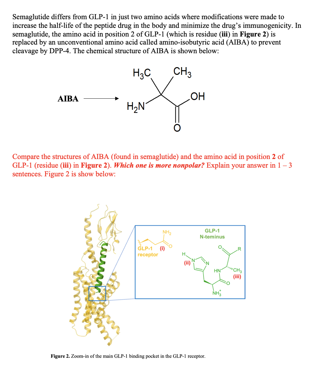 Semaglutide differs from GLP-1 in just two amino | Chegg.com