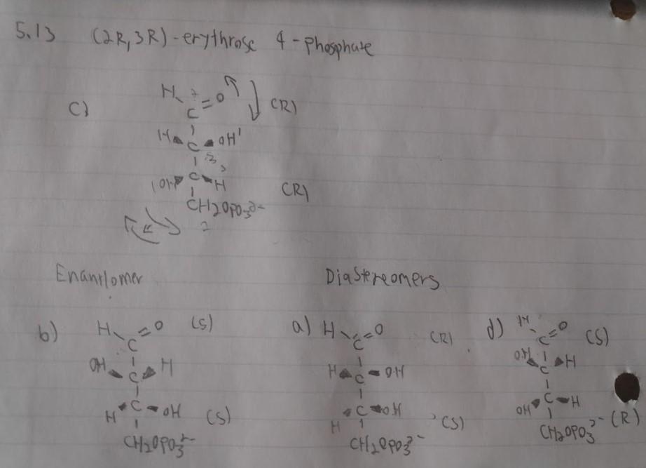 Solved Problem 5-13. One of the following molecules (a)-(d) | Chegg.com
