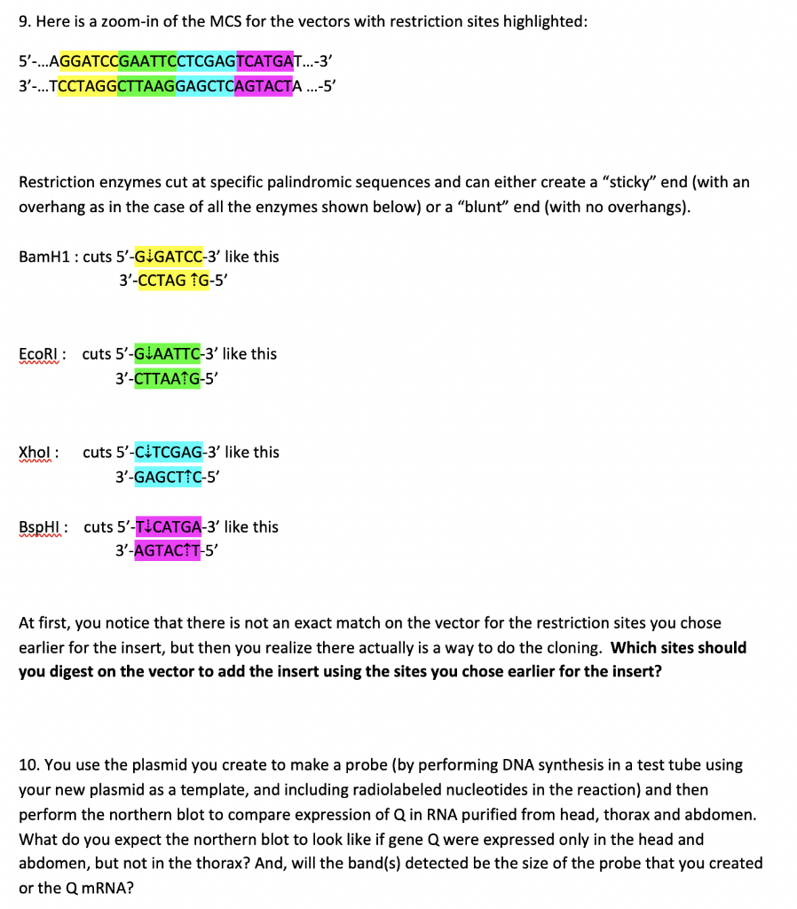 Solved 9. Here is a zoom-in of the MCS for the vectors with | Chegg.com