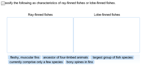 Solved ssify the following as characteristics of ray-finned | Chegg.com