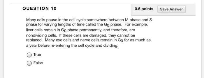 Solved QUESTION 1 0.5 points Save Answer During prophase 1 | Chegg.com