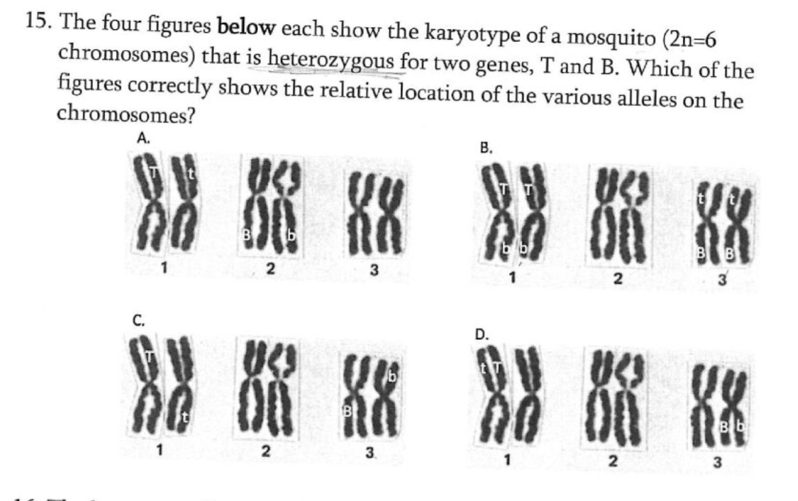Solved 15. The four figures below each show the karyotype of | Chegg.com