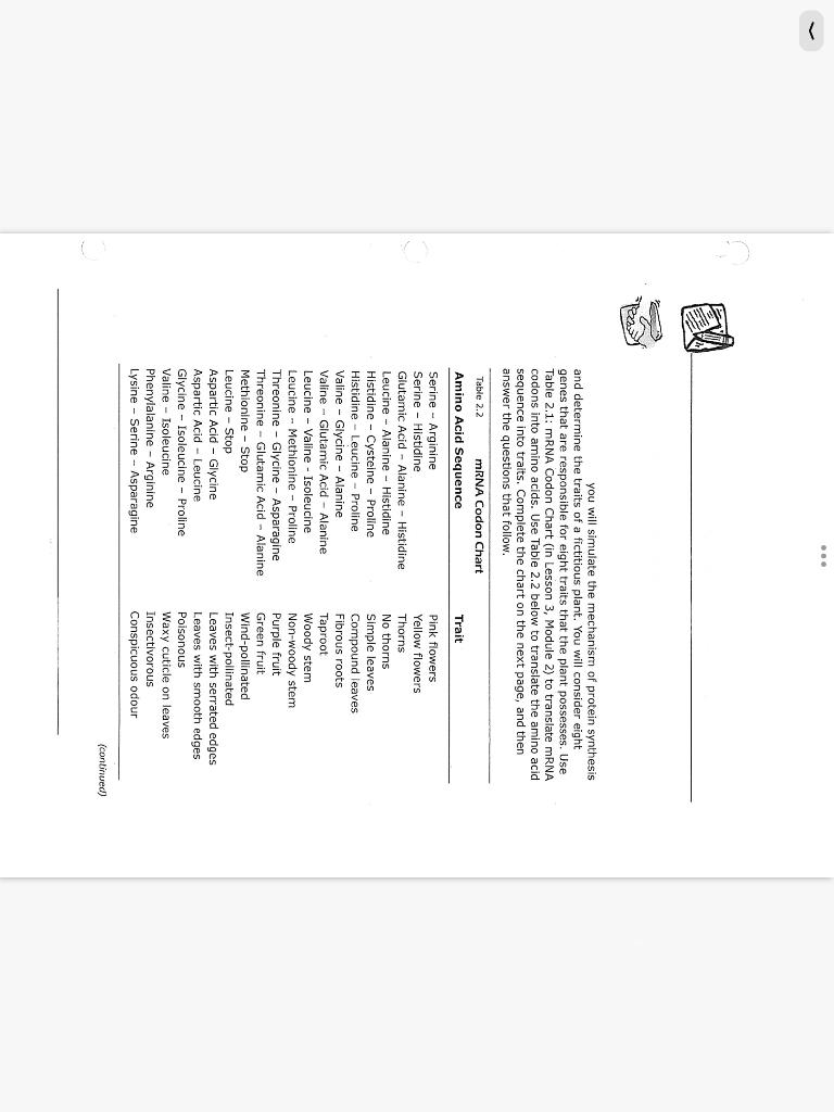 Solved 1. Specify the mRNA, amino acids, and traits for | Chegg.com