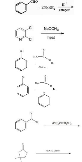 Solved \\( \\left(\\mathrm{CH}_{3}\\right)_{2} | Chegg.com