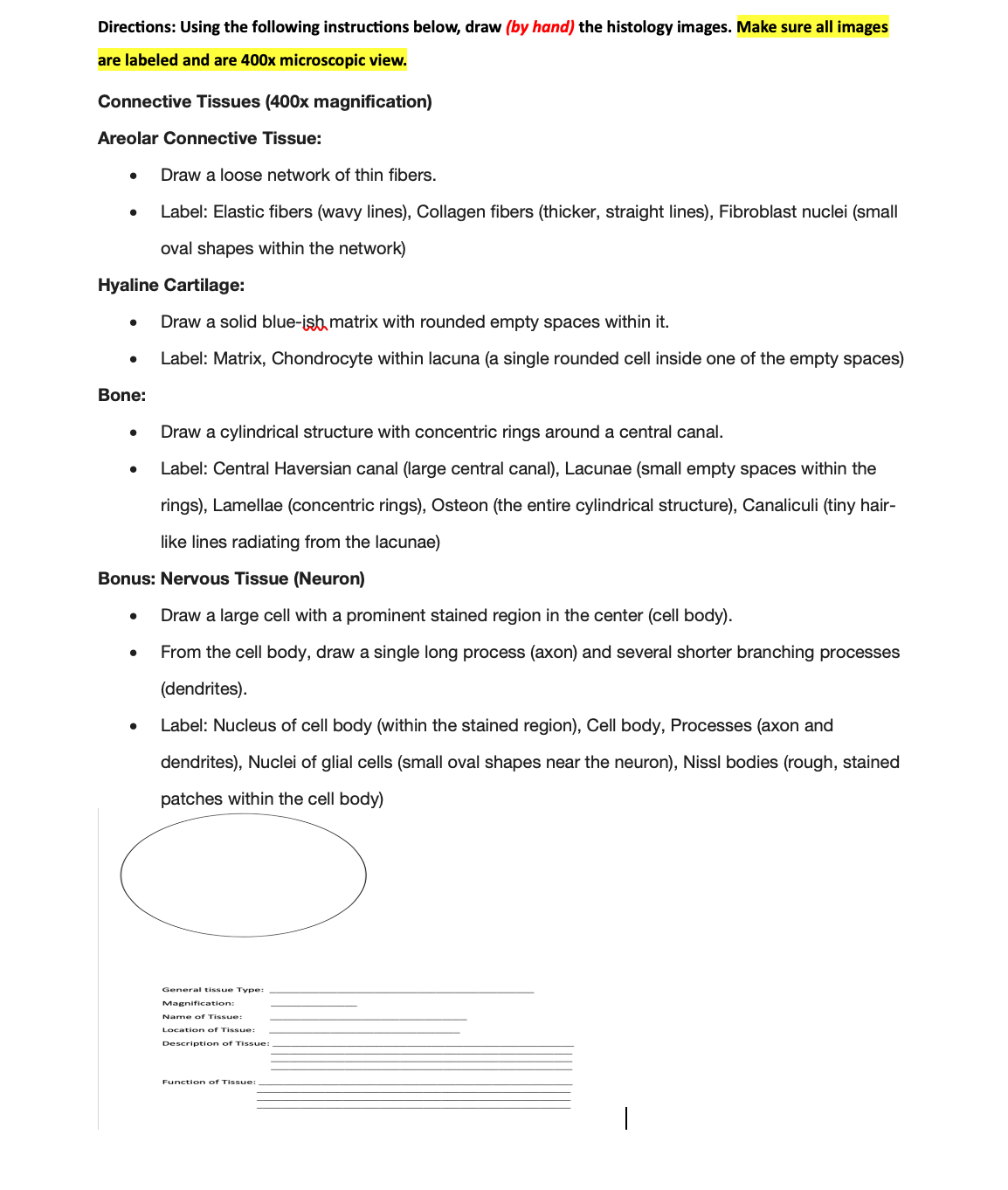 Solved Directions: Using the following instructions below, | Chegg.com