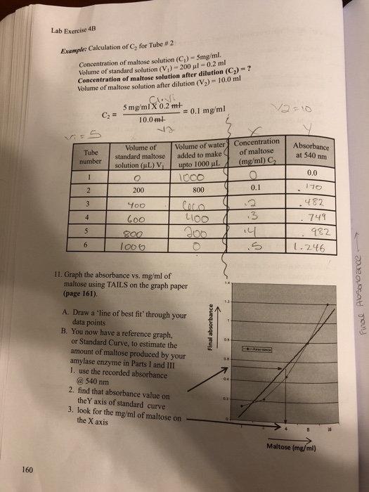 Solved EXERCISE 4B ENZYMES Functional and Structural | Chegg.com