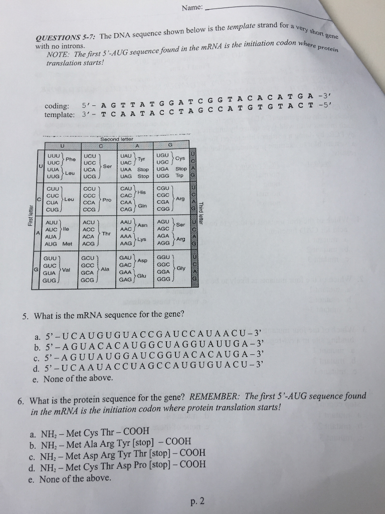 Solved Name: a very short gene QUESTIONS 5-7: The DNA | Chegg.com
