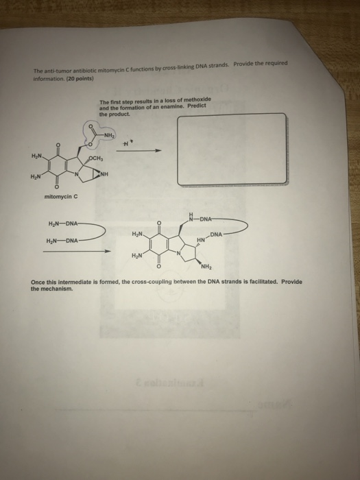 Solved The anti-tumor antibiotic mitomycin C functions by | Chegg.com