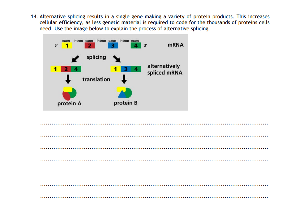 Solved 14. Alternative splicing results in a single gene | Chegg.com