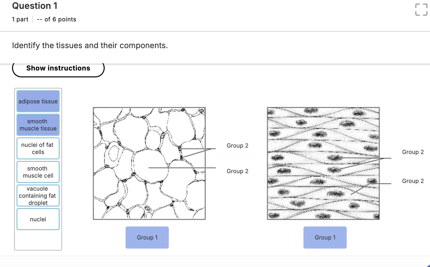 Solved Question 11 ﻿part -- ﻿of 6 ﻿pointsIdentify the | Chegg.com