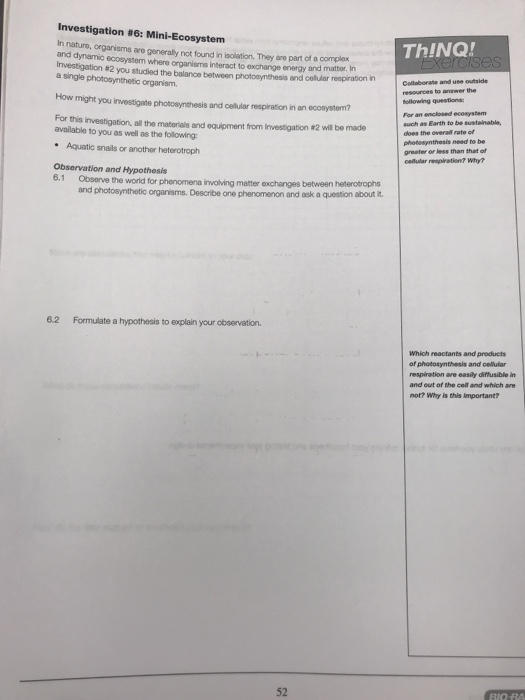 Solved Investigation #6: Mini-Ecosystem In nature, organisms | Chegg.com