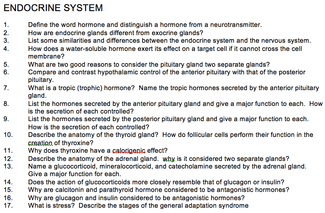 Solved ENDOCRINE SYSTEM 1. 2. 3. LOCS 00 9. Define the word | Chegg.com
