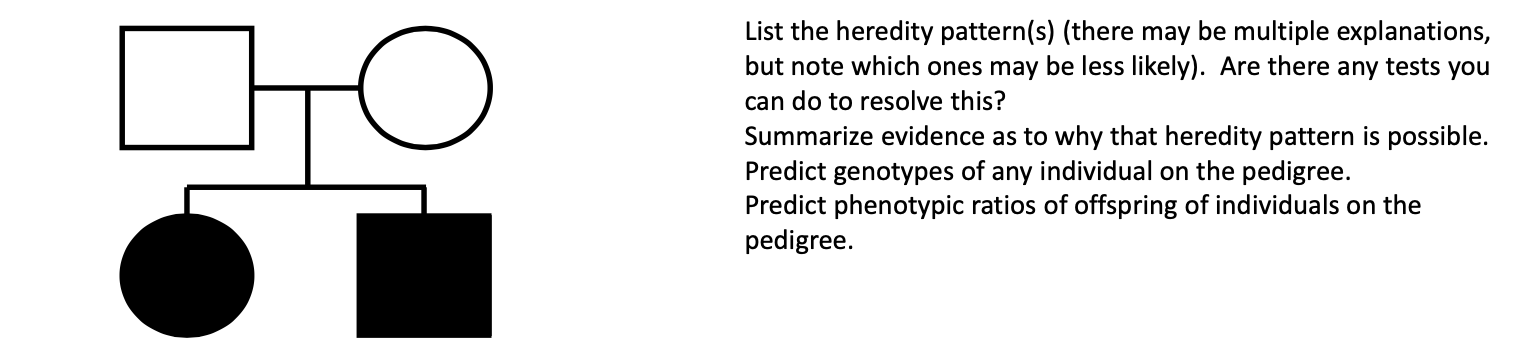 Solved List the heredity pattern(s) (there may be multiple | Chegg.com