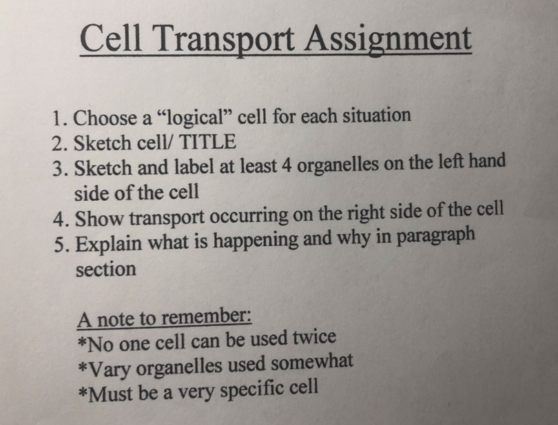 Solved Cell Transport Assignment 1. Choose a “logical” cell | Chegg.com