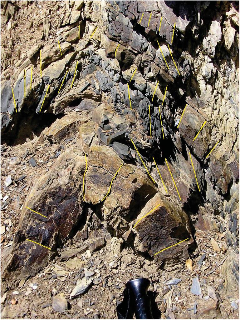Solved Below is a photo of a fold in shale and siltstone. | Chegg.com