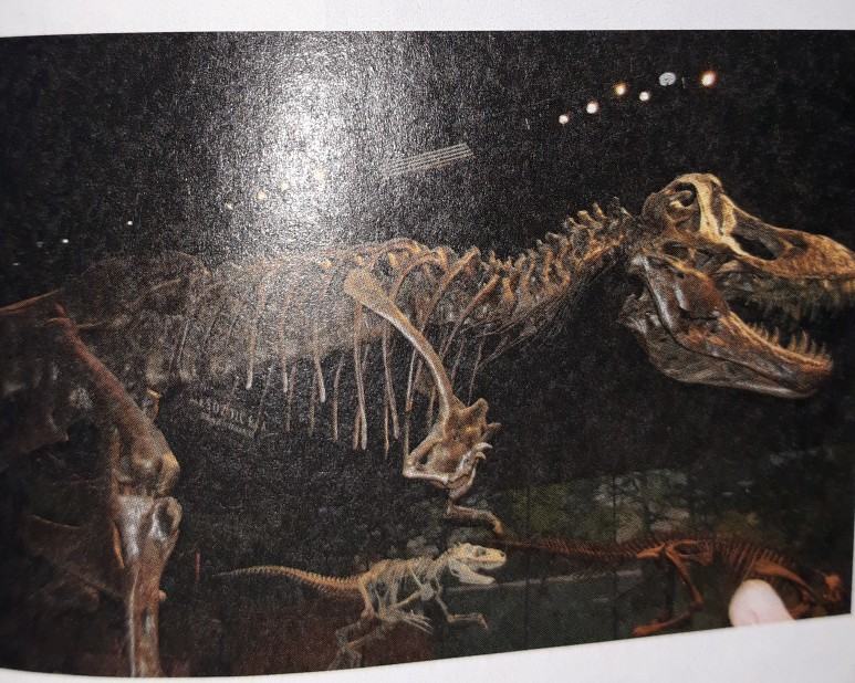 Solved race Fossils Exercises 6. Examine the specimen in the | Chegg.com Solved race Fossils Exercises 6. Examine the specimen in the | Chegg.com