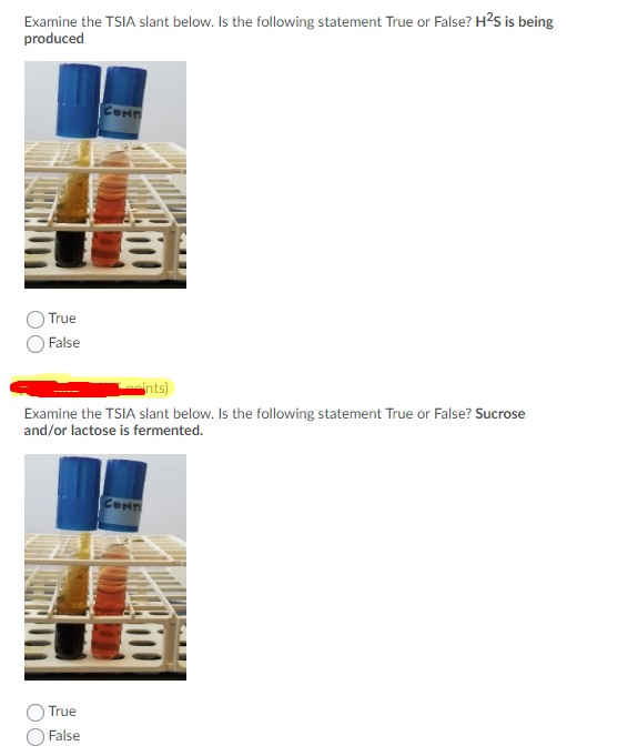 Solved Examine the TSIA slant below. Is the following | Chegg.com