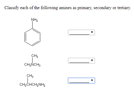 Solved Classify each of the following amines as primary, | Chegg.com