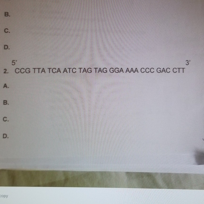 B. D. 5' ccG TTA TCA ATC TAG TAG GGA AAA CCC GAC CTT | Chegg.com
