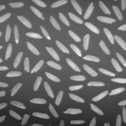 Solved load Rice.jpg into Matlab Threshold the image, using | Chegg.com