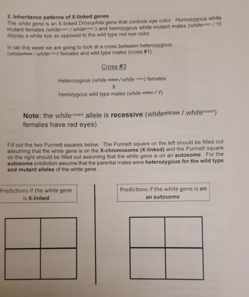Solved 1. Inheritance patterns of dominant and recessive | Chegg.com