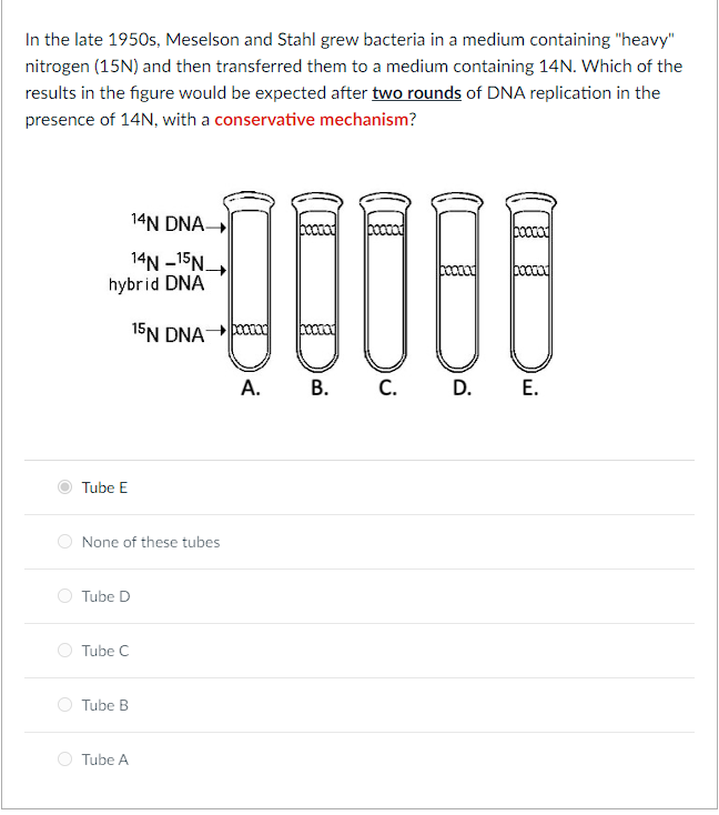 Solved In the late 1950s, Meselson and Stahl grew bacteria | Chegg.com