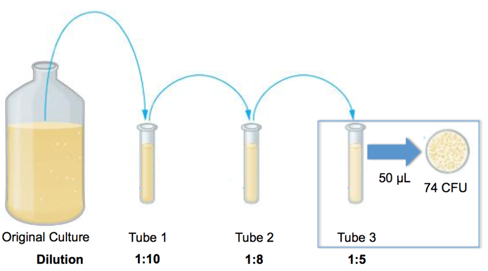 Solved This was a homework question I got wrong and I just | Chegg.com