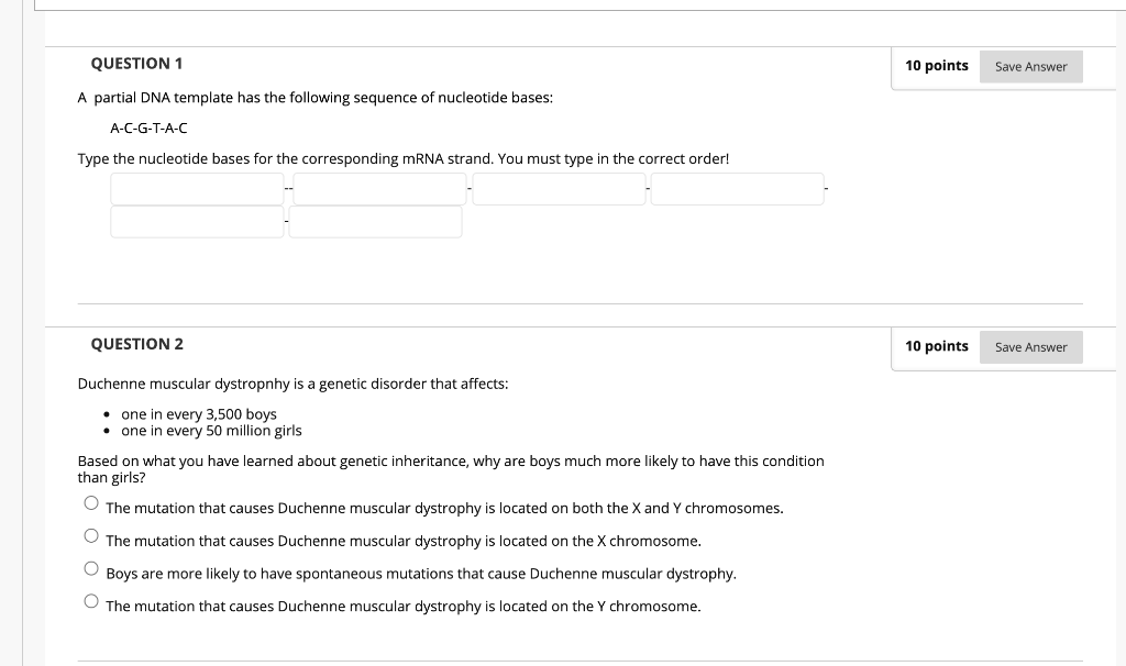 Solved QUESTION 1 10 points Save Answer A partial DNA | Chegg.com