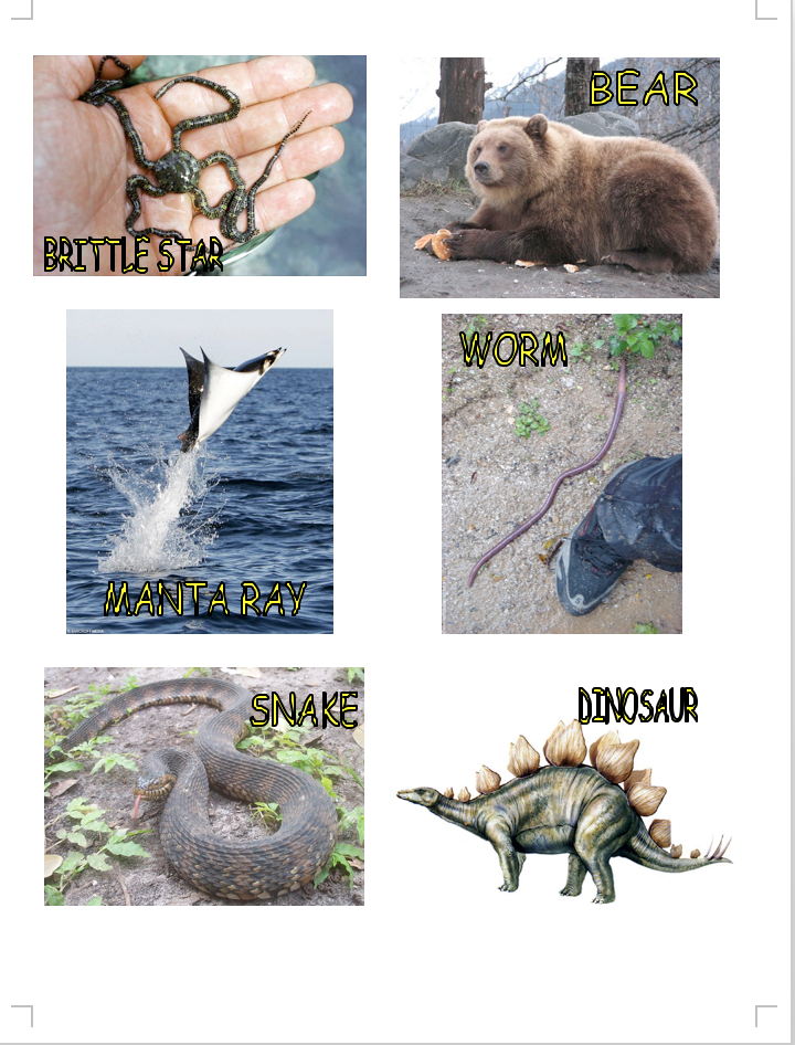 Solved Draw a character table Place the organisms in any | Chegg.com