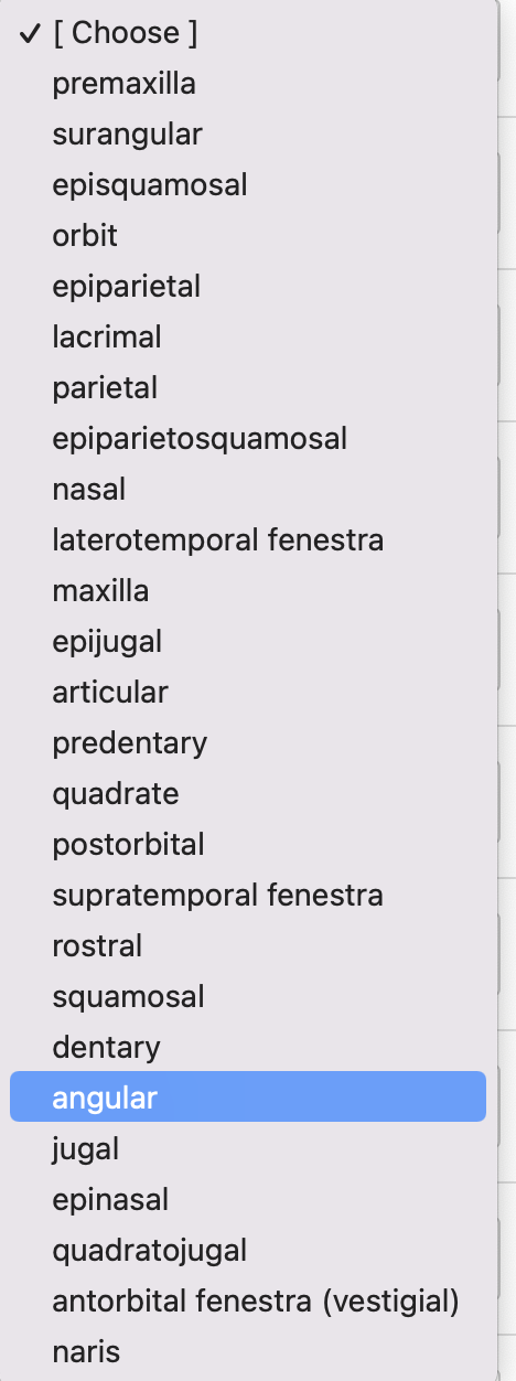 Solved [ Choose ] premaxilla surangular episquamosal orbit | Chegg.com