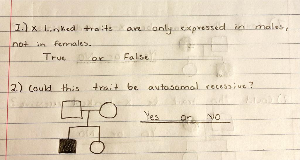 Solved 1.) X-Linked traits are only expressed in males, not | Chegg.com