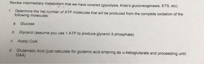 Solved Determine the net number of ATP molecules that will | Chegg.com