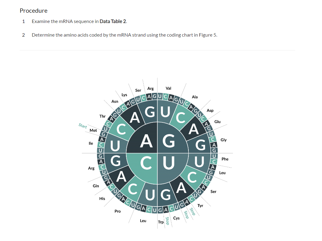 Record the sequenced polypeptide in Data Table | Chegg.com