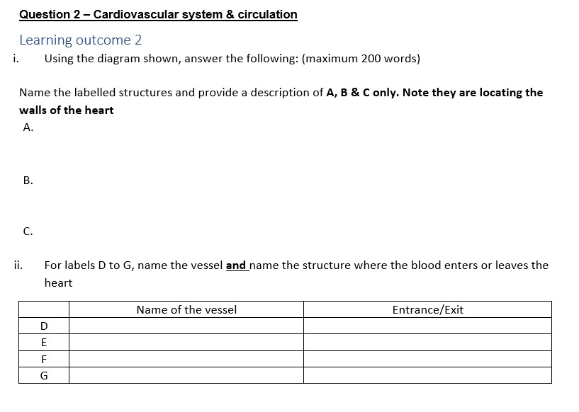 Solved Question 2 - Cardiovascular system & circulation | Chegg.com