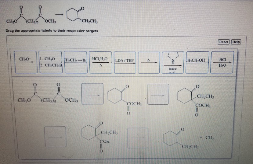 Solved CH30 (CHJs H2CH3 Drag the appropri ate labels to | Chegg.com