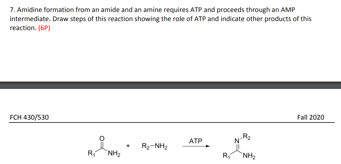7. Amidine formation from an amide and an amine | Chegg.com
