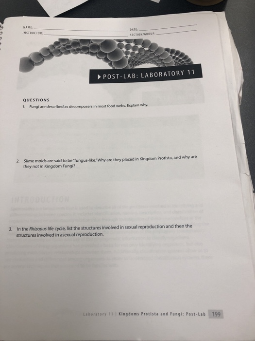 Solved INSTRUCTOR SECTION/GROUP POST-LAB: LABORATORY 11 | Chegg.com