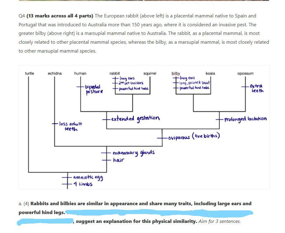 Solved Q3 (8 marks across both parts) You are studying a | Chegg.com