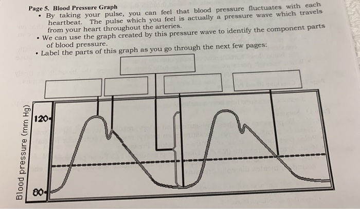 Solved Page 5. Blood Pressure Graph * By taking your pulse, | Chegg.com