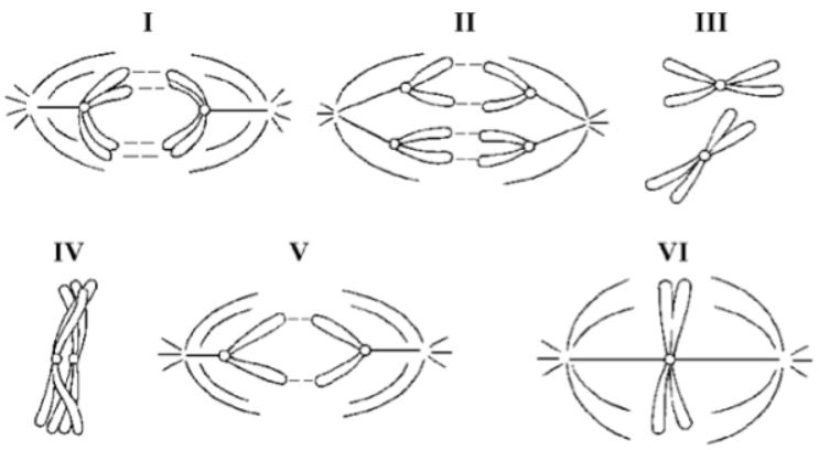 Solved Refer to the drawings in the figure below of a single | Chegg.com Solved Refer to the drawings in the figure below of a single | Chegg.com